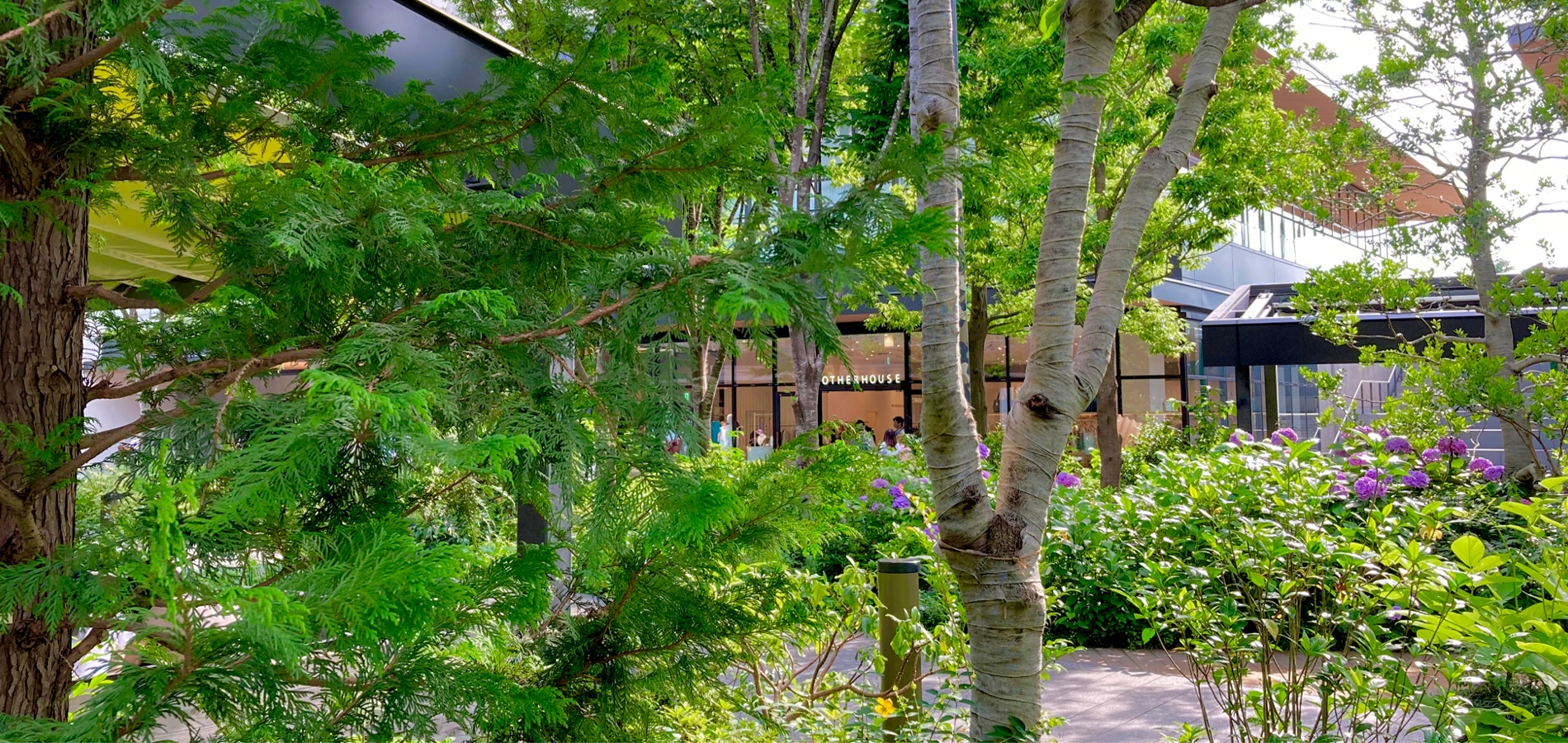 西洋美術史と美術館の歴史を学ぶ